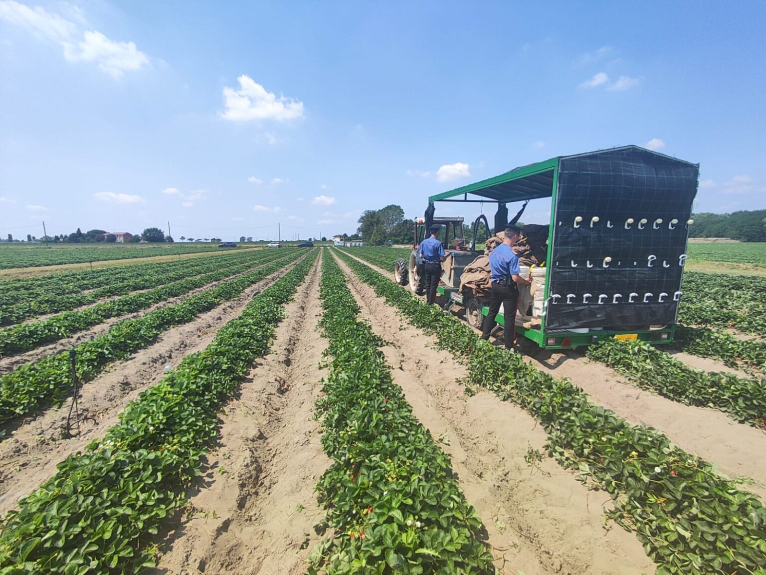 Workplace accident: 44-year-old woman crushed by tractor dies in the ...